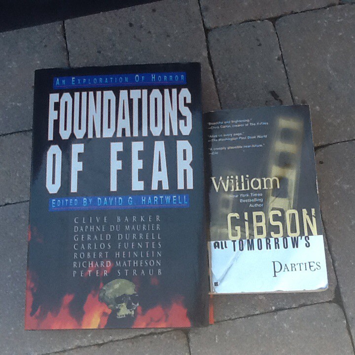 UNEARTHED TREASURES III: MORE GOODWILL FINDS – Horror Delve